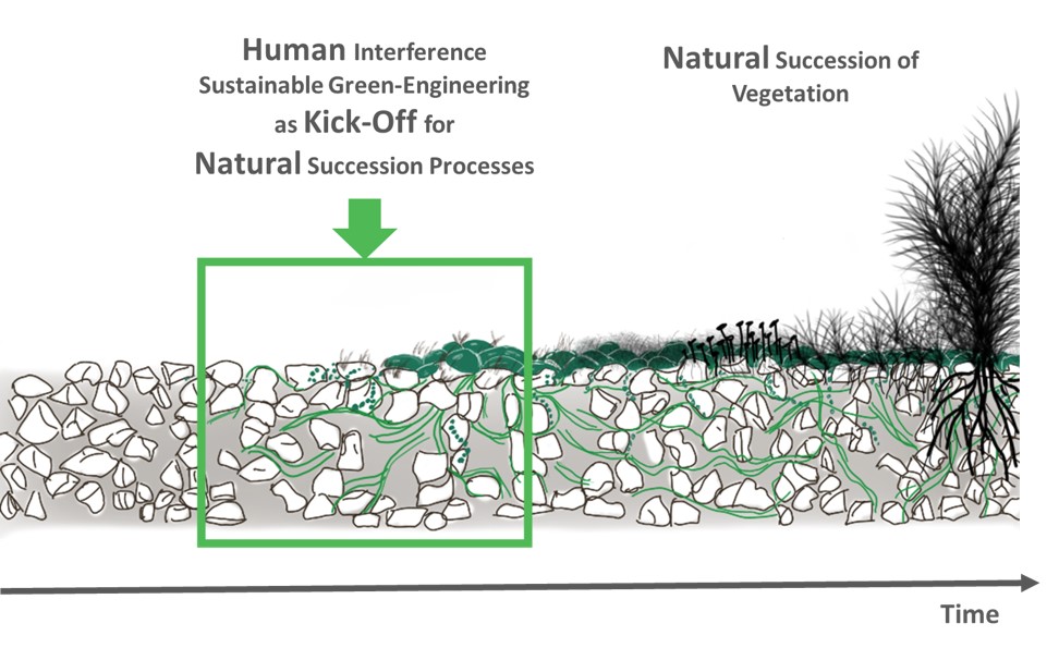 INDUCED BIOCRUSTS - Program against desertification